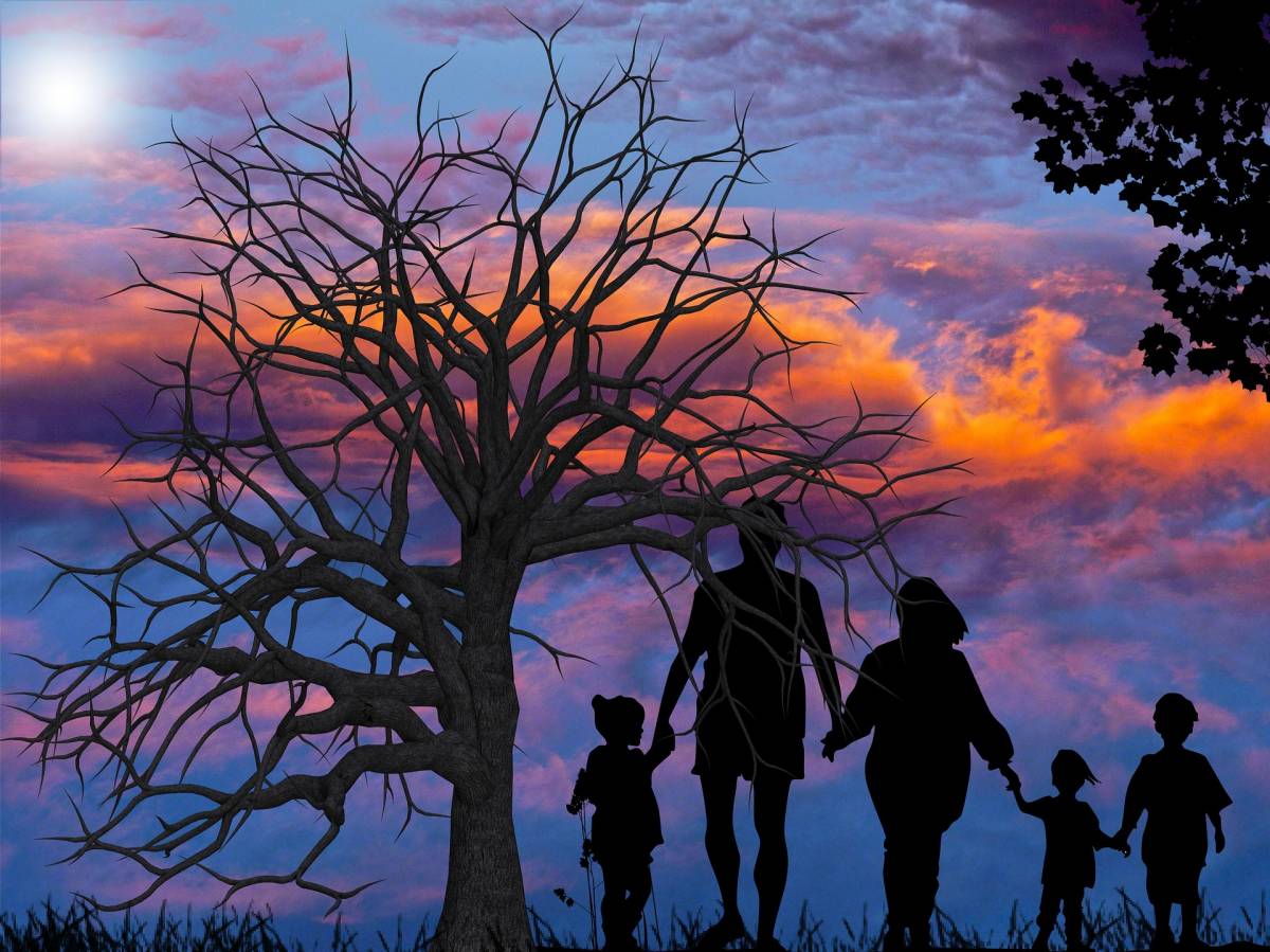 Top 10 Kid-Friendly Hikes | Bear Tracts